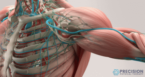 7 Powerful Facts About Pulled Chest Muscles (and How to Recover Faster)